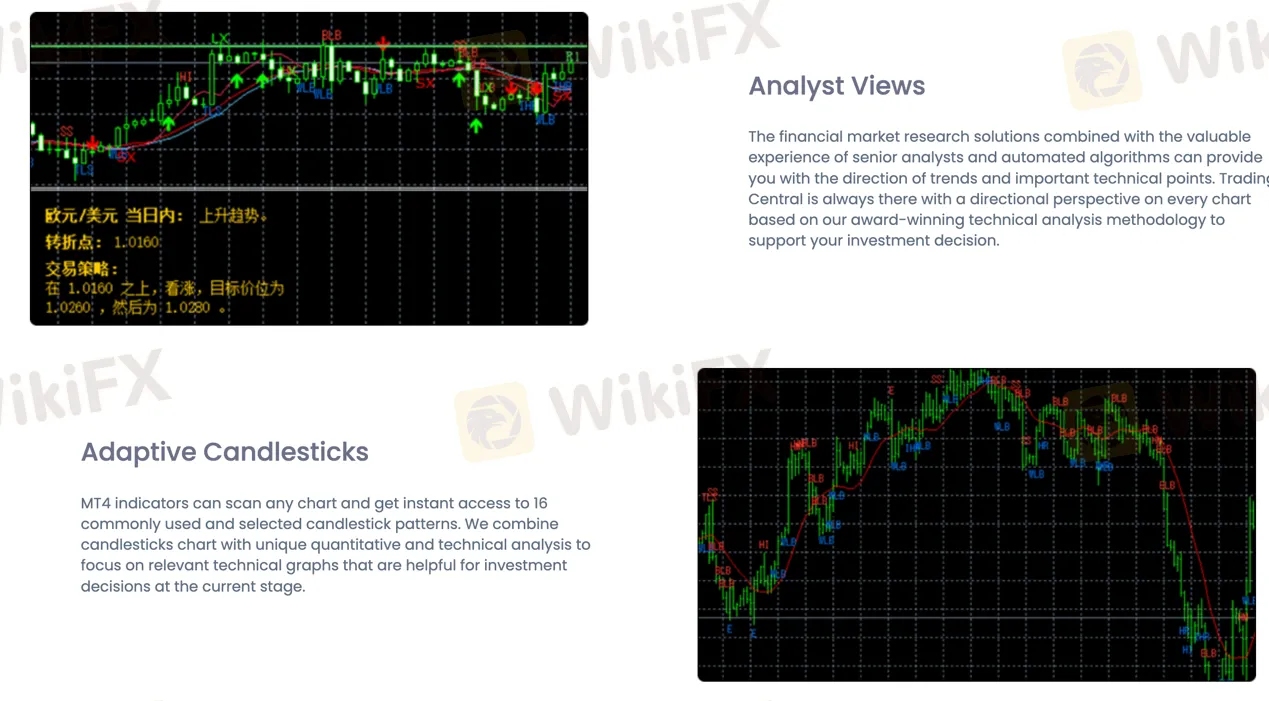 CWG Markets Review, Forex Broker&Trading Markets, Legit or a Scam-WikiFX