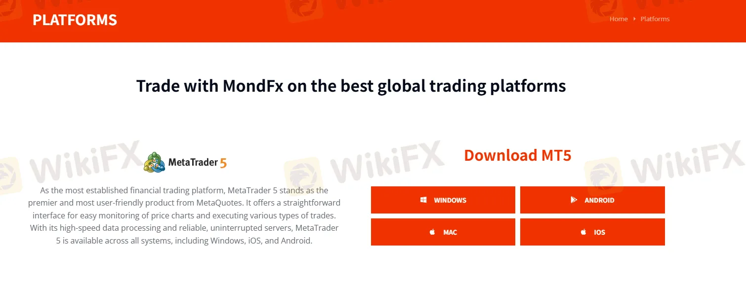 MONDFX Review - Is It a Safe Broker for Forex and CFD Trading? - WikiFX