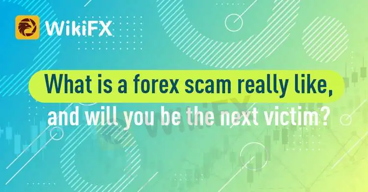 What is a forex scam really like, and will you be the next victim?-News ...